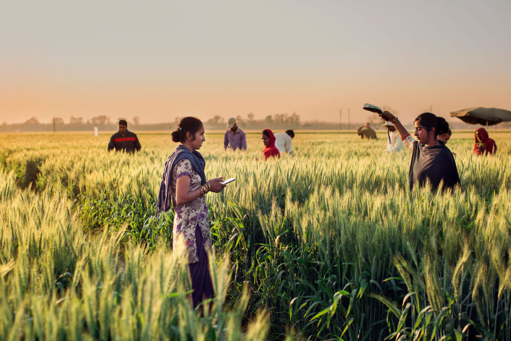 Trigger change! Innovative agriculture solutions for land restoration