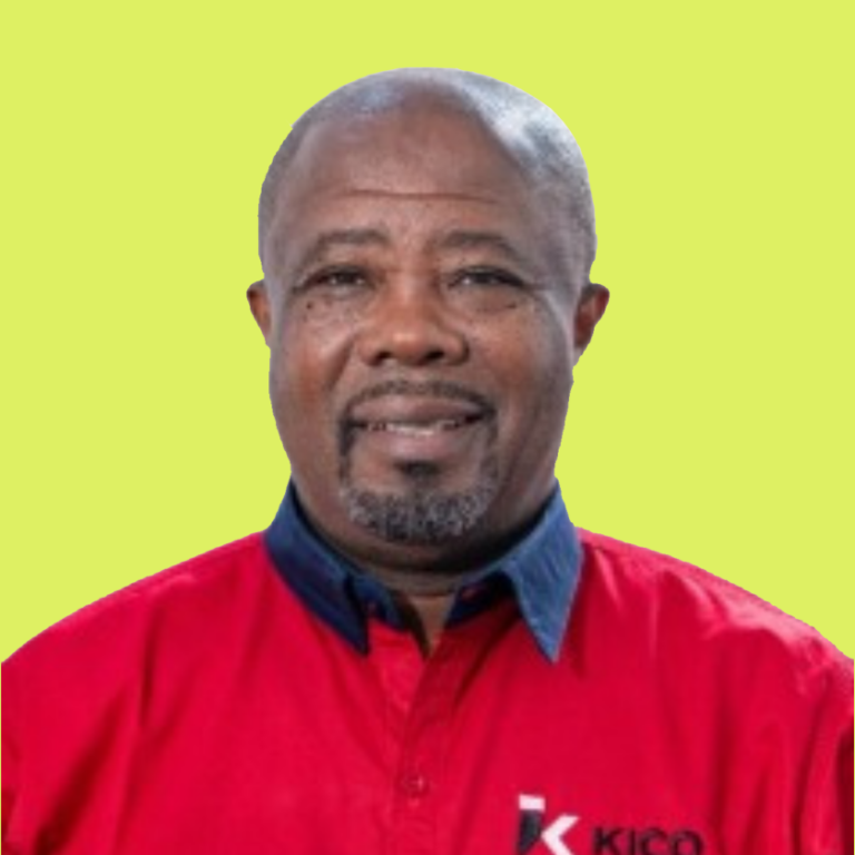 Head of Sustainability, Ivanhoe Mines Kipuhsi Corpororation