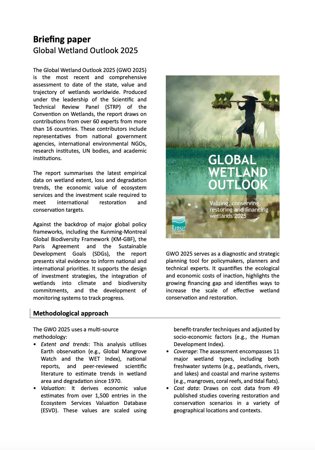 Briefing paper: Global Wetland Outlook 2025