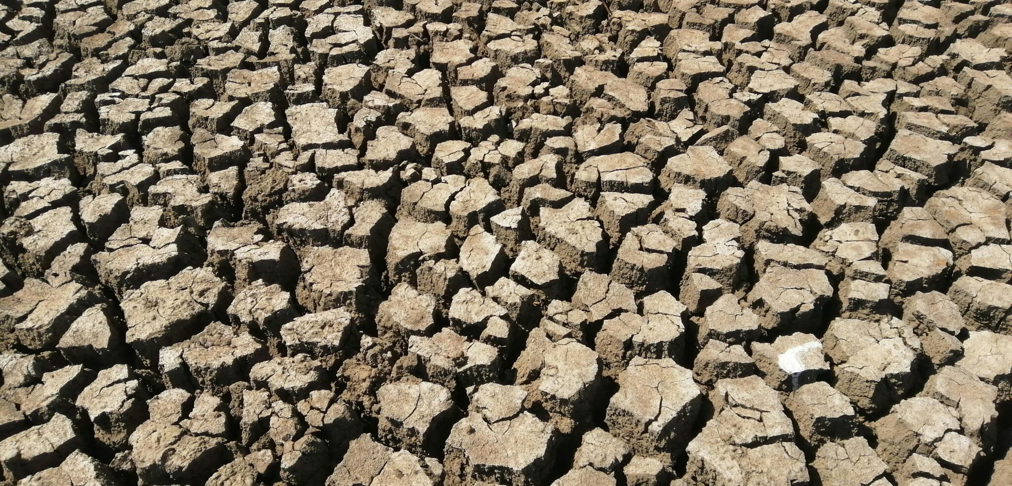Monitoring the restoration of degraded lands becomes a reality